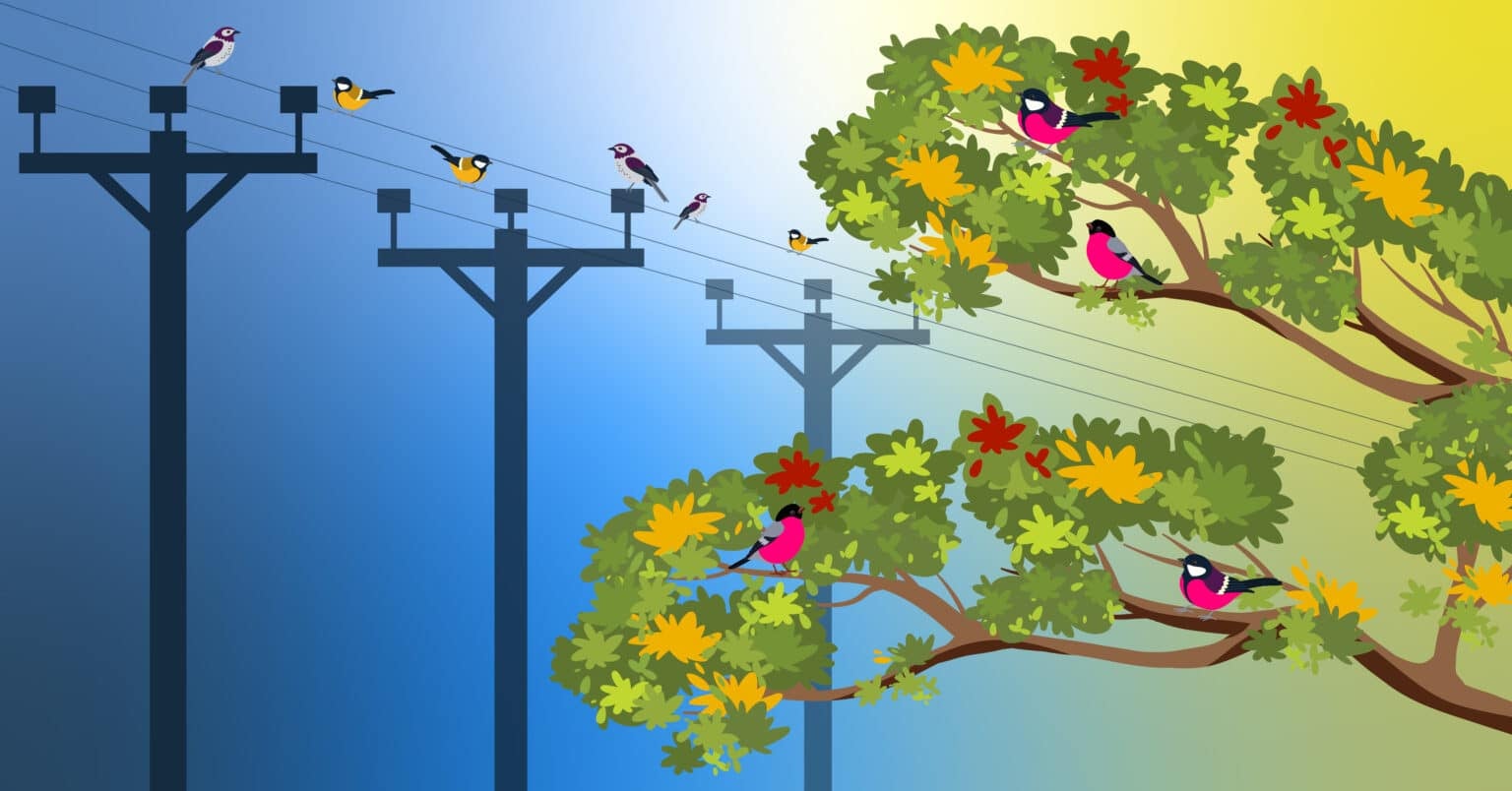 Line or Branch Coverage: Which Type of Coverage is Right for You? - Codecov
